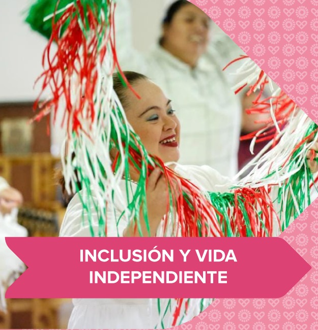 Inclusión y Vida Independiente